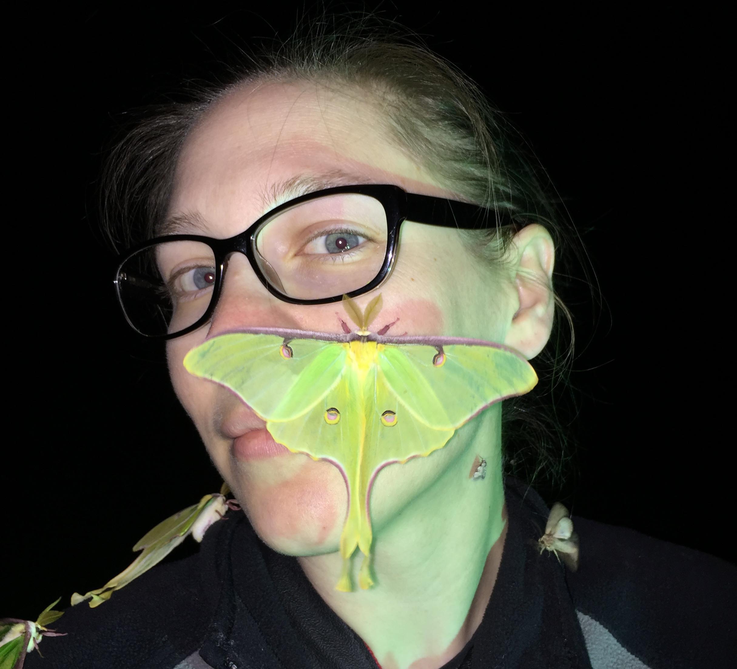Meet Tanya Dapkey, an entomologist working on the exciting Barcode of ...