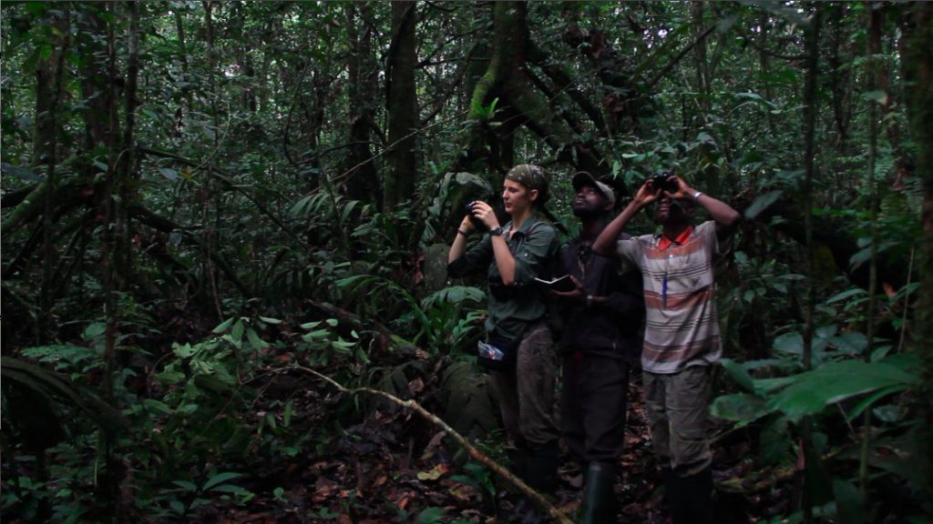 Meet Dr. Kirsty Graham, a primatologist trying to decipher meaning in ...