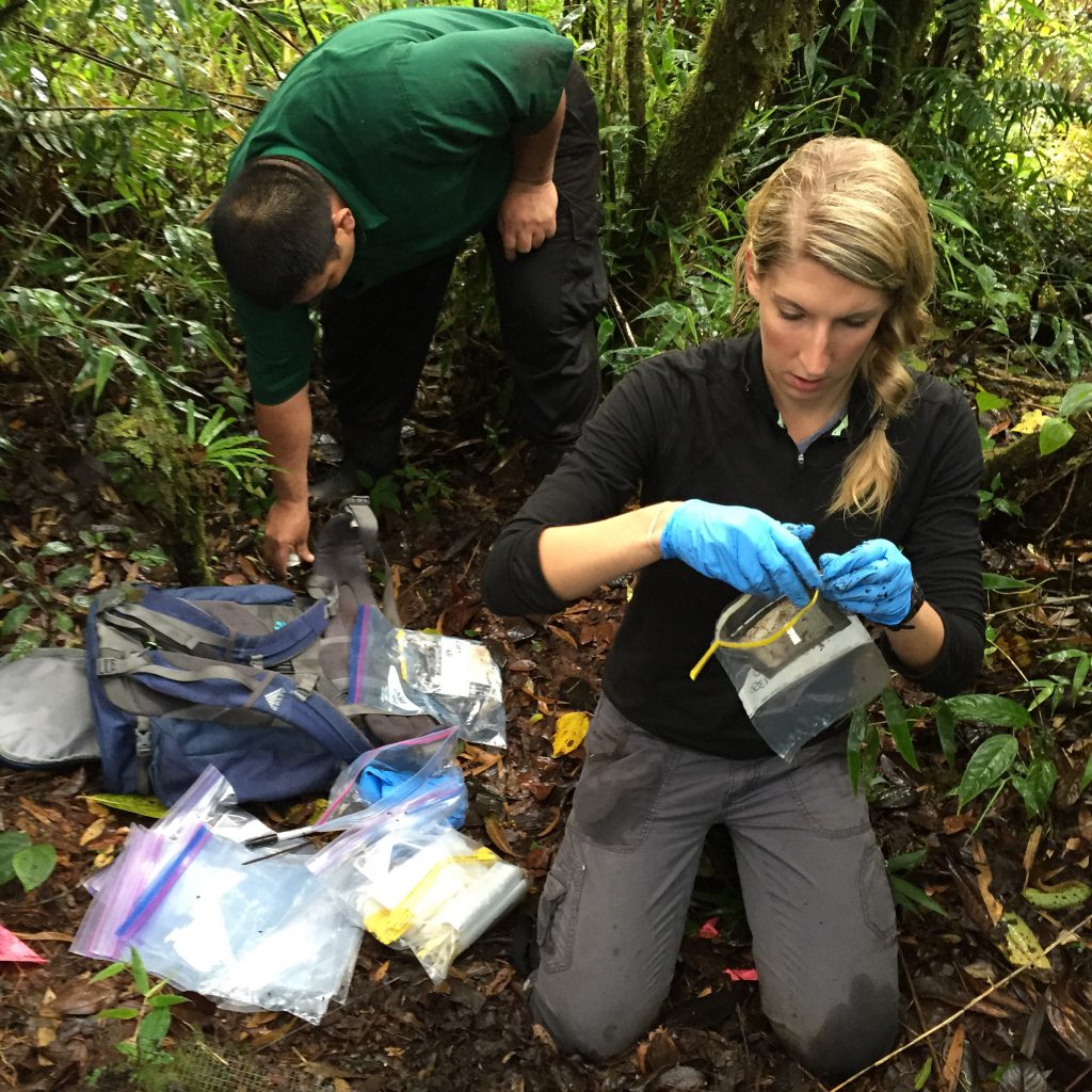 Meet Dr. Caitlin Looby, a biologist passionate about the tropics ...