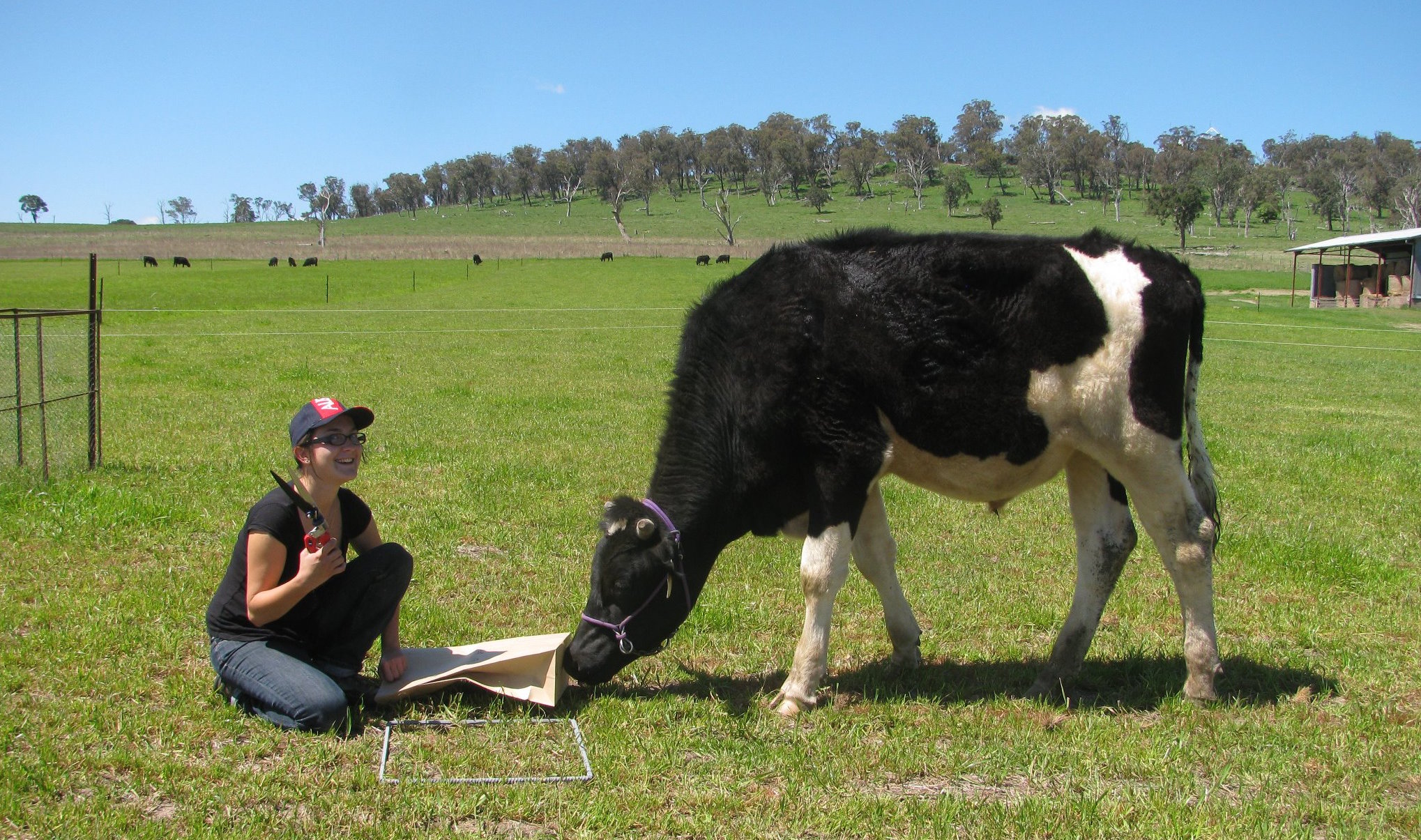 Meet Dr. Lucille Bellegarde, an applied ethologist passionate about ...