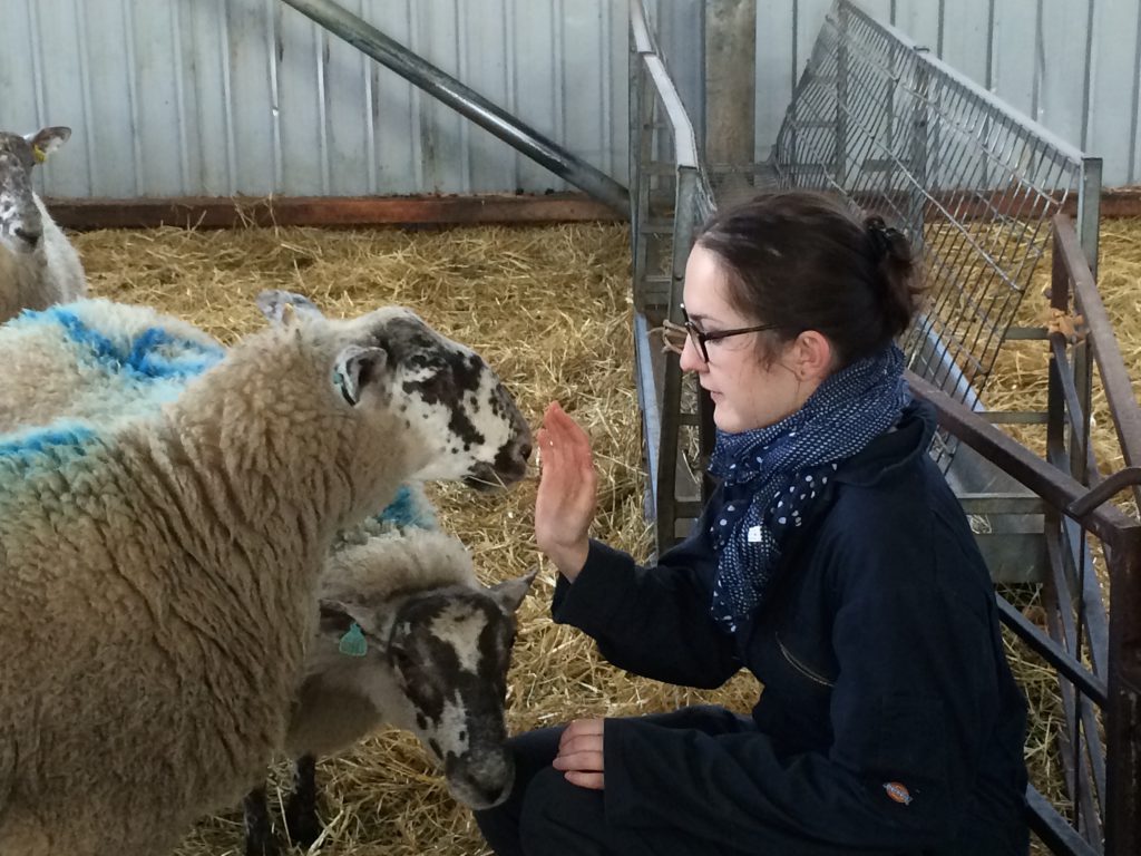 Meet Dr. Lucille Bellegarde, an applied ethologist passionate about ...