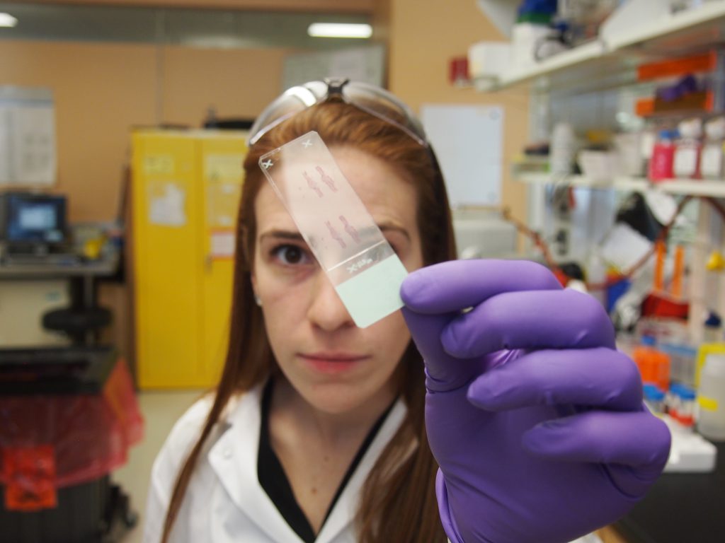 Meet Dr. Kaitlyn Sadtler, an immunoengineer working on how our body's ...